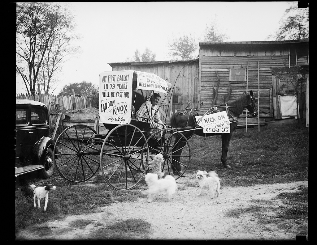 A Short History of Voting in Arlington - Arlington Historical Society